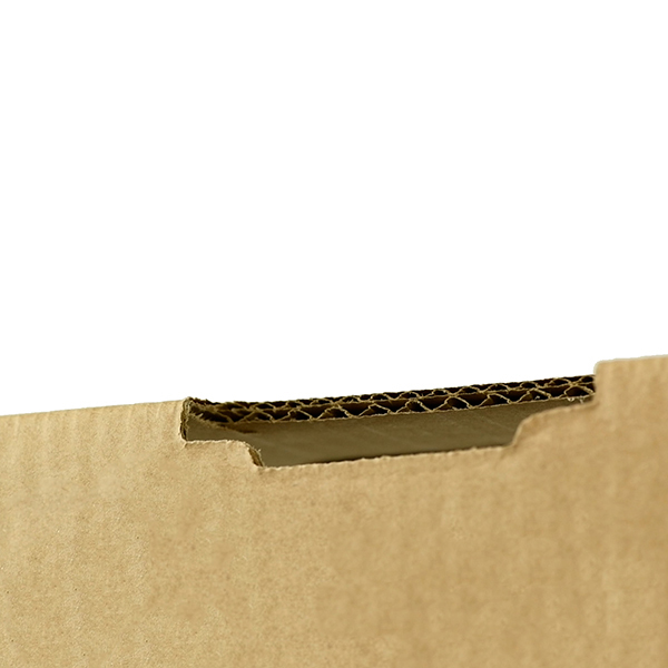 Cardboard Delivery Trays | Kite Packaging