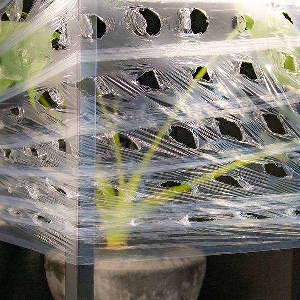 Ventilated Pallet Wrap | Kite Packaging