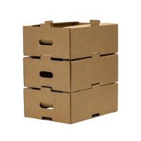 Cardboard Delivery Trays | Kite Packaging